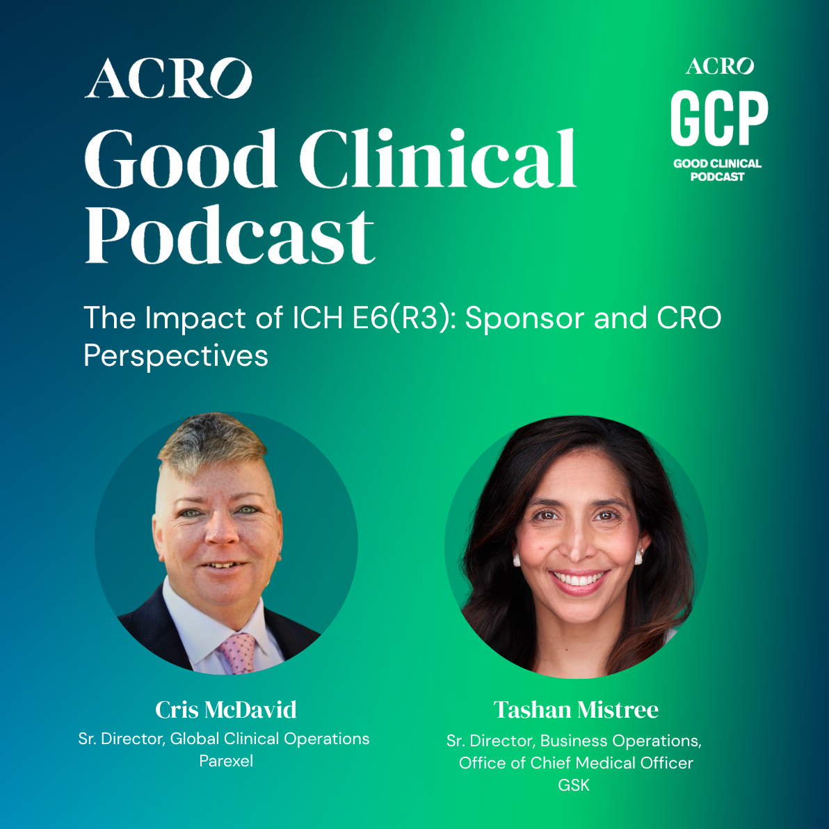 ICH E6(R3) Implementation Guidance from Leaders Across the Clinical ...
